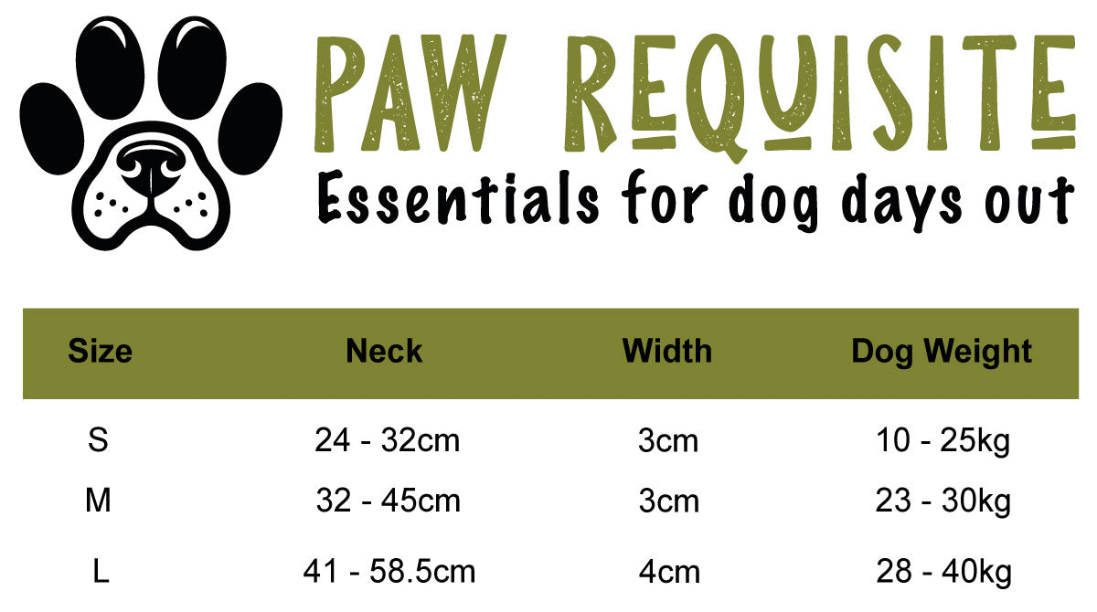 AirTag Dog Collar Premium Leather – Paw Requisite - Essentials for dog ...